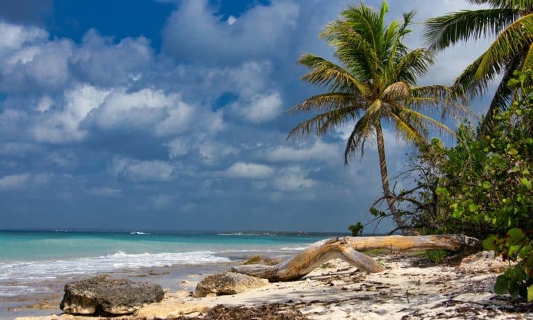 Las 7 mejores playas de República Dominicana - Mejores.com